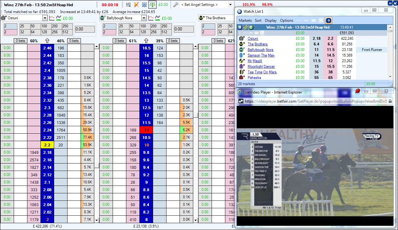 Front Runner strategies - Automated on Bet Angel Betfair trading software